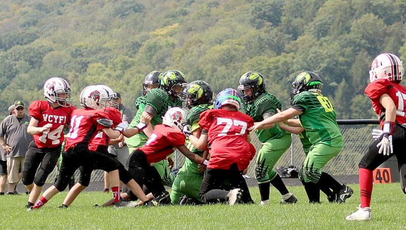 Warren Dawgs take down Bradford Raptors 25-12 | News, Sports, Jobs ...